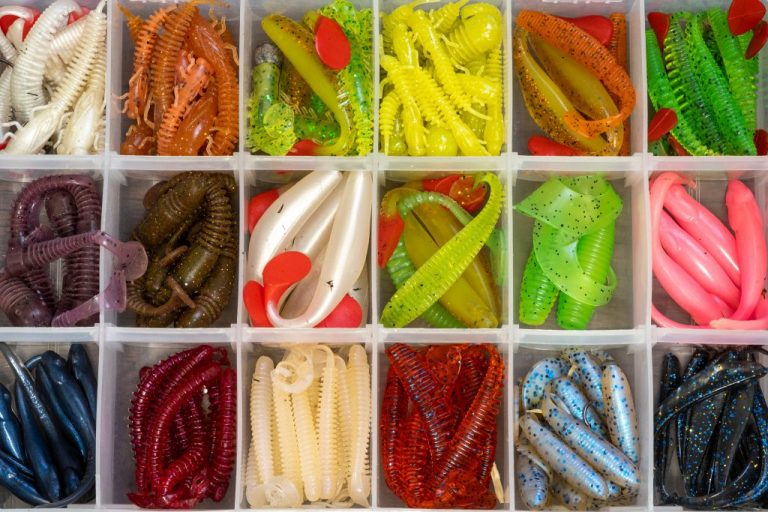 Bass Fishing Plastic Worms Year Round – Seasonal Tips & Guide