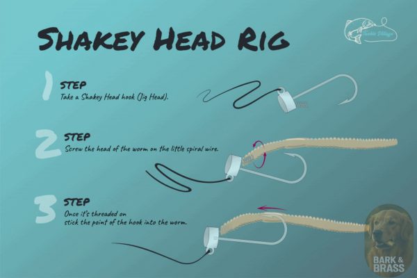 Fishing with Plastic Worms & Creature Baits: 2025 Beginner-to-Pro ...